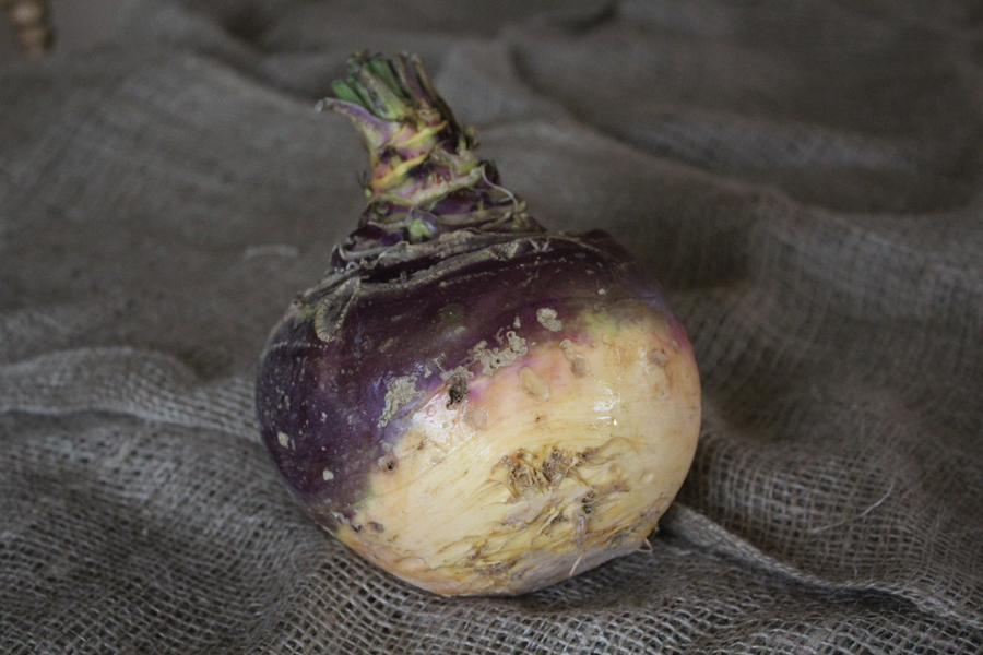 Swede – Rocket Gardens